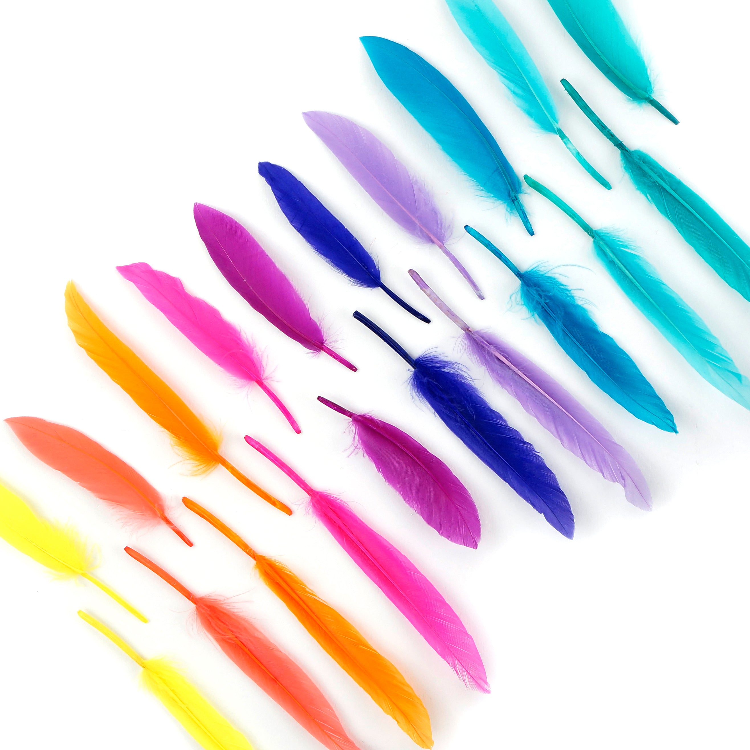 Bright Feathers – featherplace.com by Zucker Feather Products, Inc.