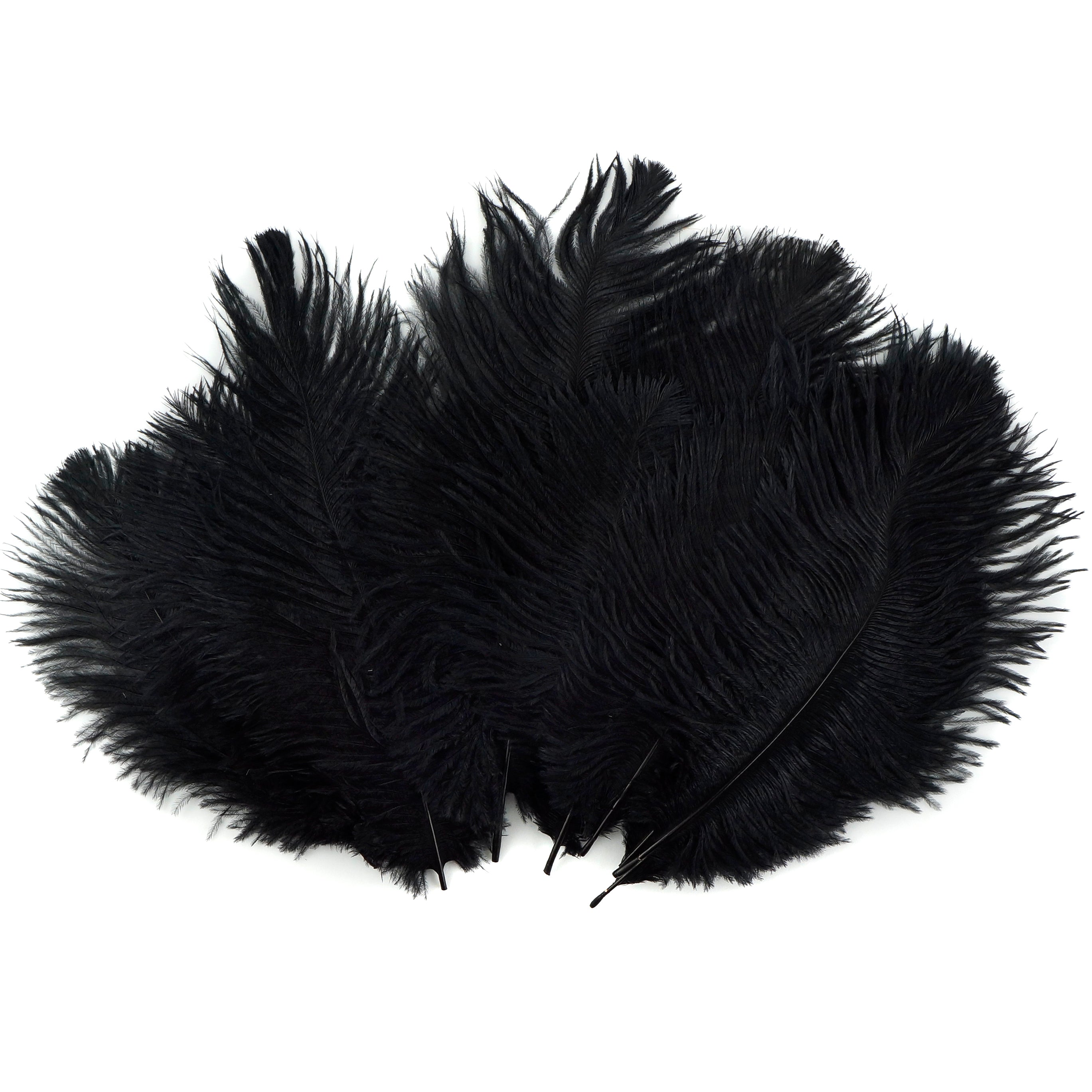 4 to 8 Inch Drab Feathers – featherplace.com by Zucker Feather Products ...