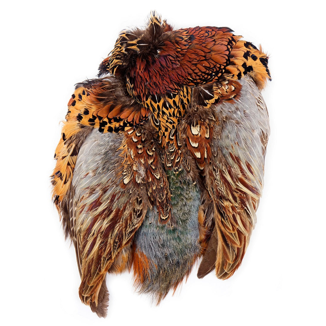 Pheasant Pelts – featherplace.com by Zucker Feather Products, Inc.