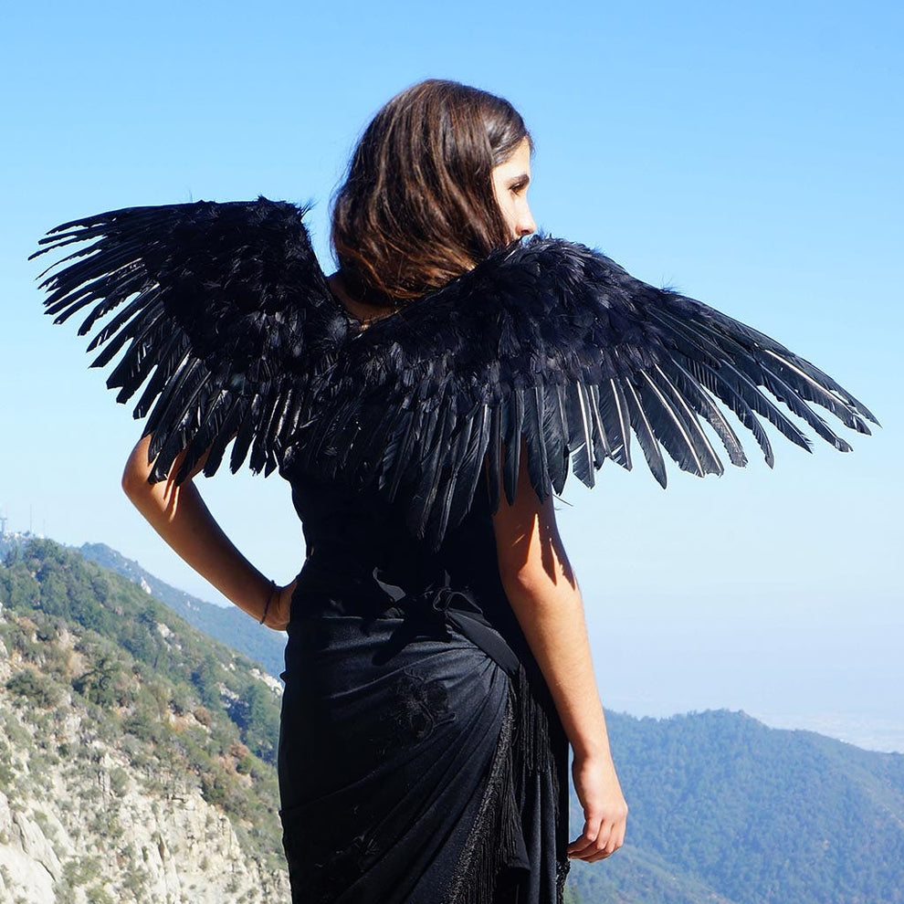 Adult Mockingbird Large Wings Costume - Black Angel Fairy Cosplay Hall ...