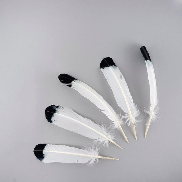 2 PC PKG Turkey Quills Imitation Eagle 10-12" - Black – featherplace ...