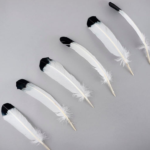 2 PC PKG Turkey Quills Imitation Eagle 10-12" - Black – featherplace ...