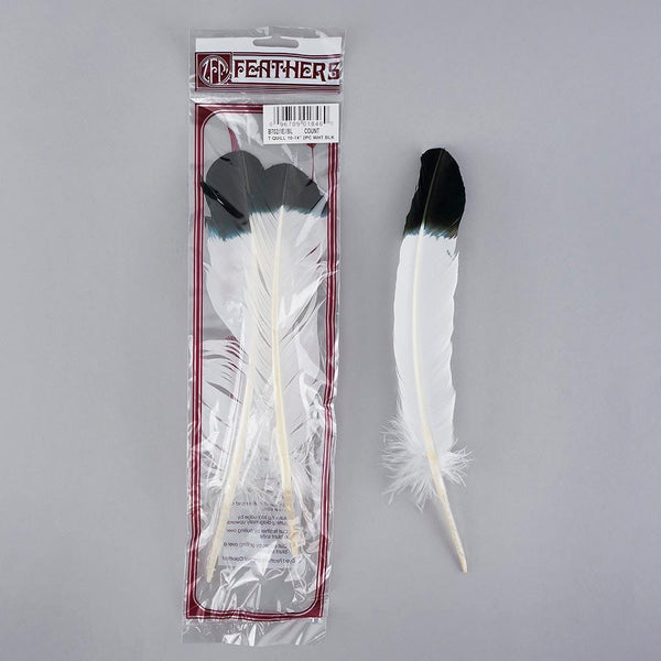 2 PC PKG Turkey Quills Imitation Eagle 10-12" - Black – featherplace ...