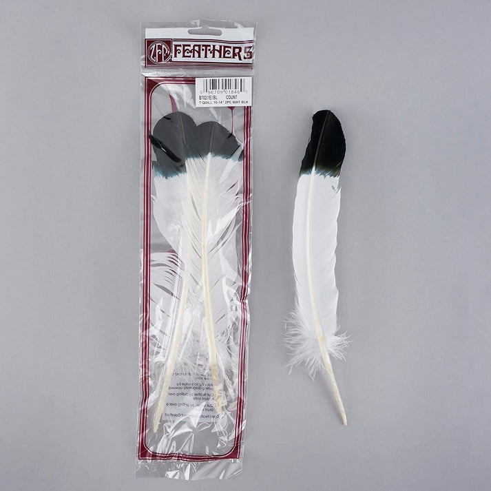 2 PC PKG Turkey Quills Imitation Eagle 10-12" - Black – featherplace ...