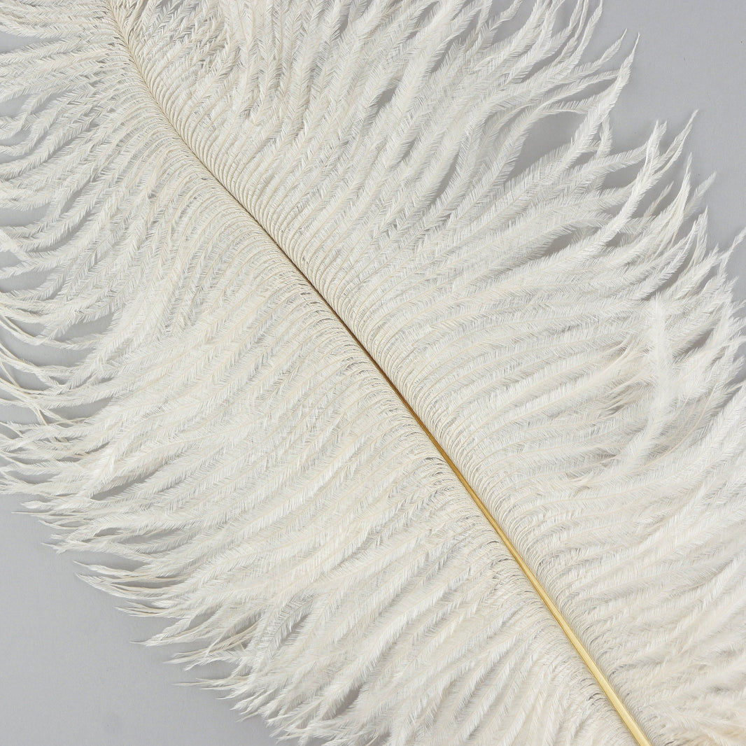 Bulk Feathers – featherplace.com by Zucker Feather Products, Inc.
