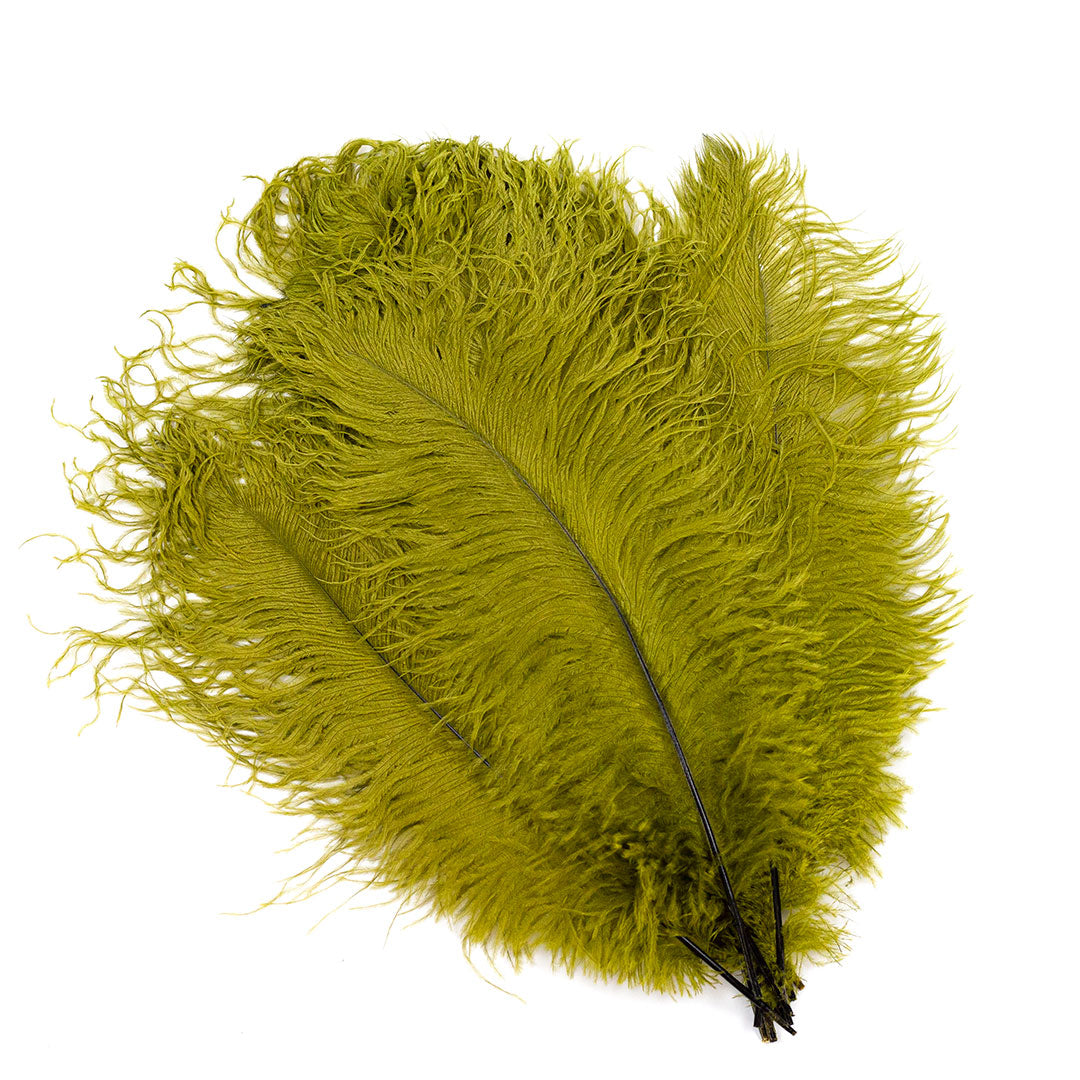 Large Ostrich Feathers - 17"+ Drabs - Olive – featherplace.com by ...