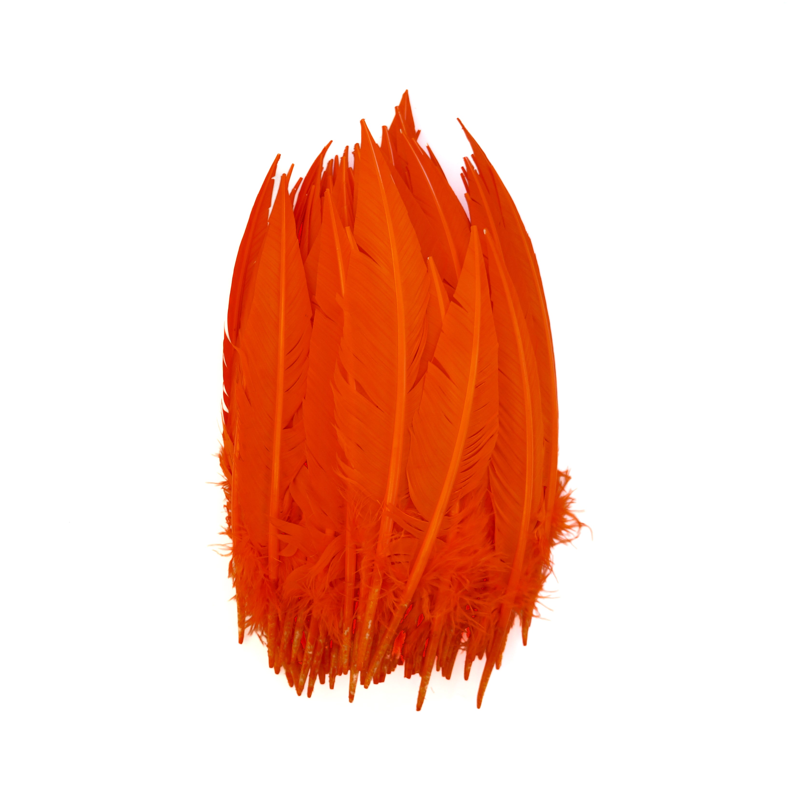 Dagger Quills | Orange Turkey Feathers for Carnival – featherplace.com ...