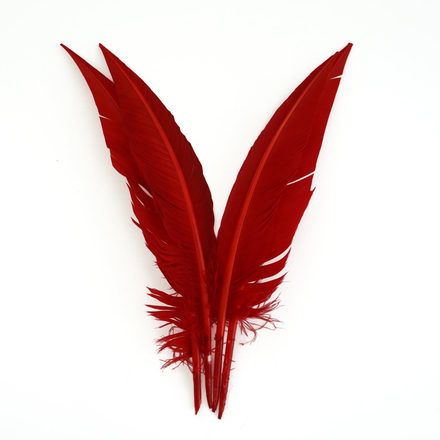 Cut Turkey Dagger Quill Feathers | Red Turkey Feathers for Carnival ...