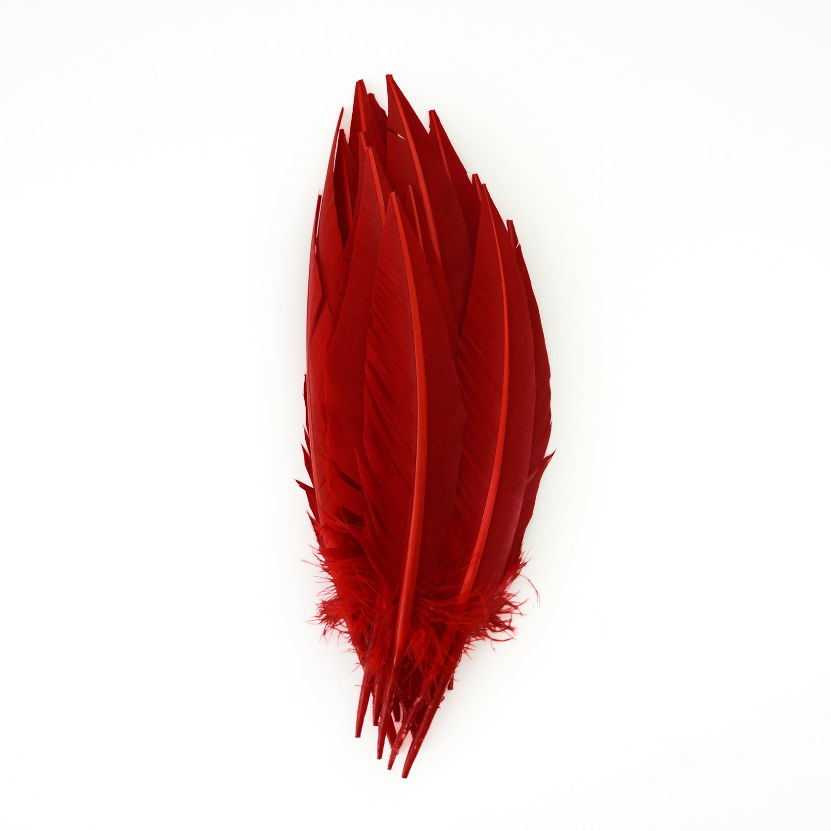 Cut Turkey Dagger Quill Feathers | Red Turkey Feathers for Carnival – featherplace.com by Zucker ...