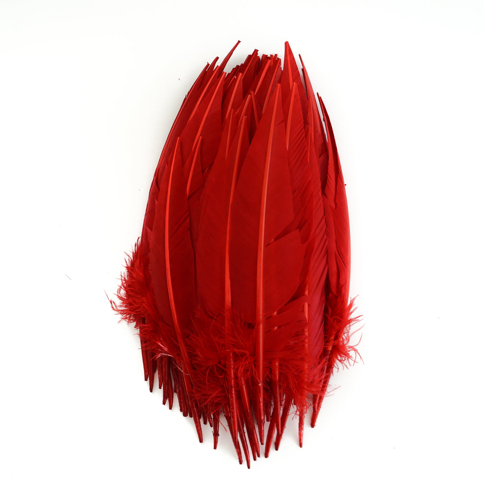Cut Turkey Dagger Quill Feathers | Red Turkey Feathers for Carnival ...
