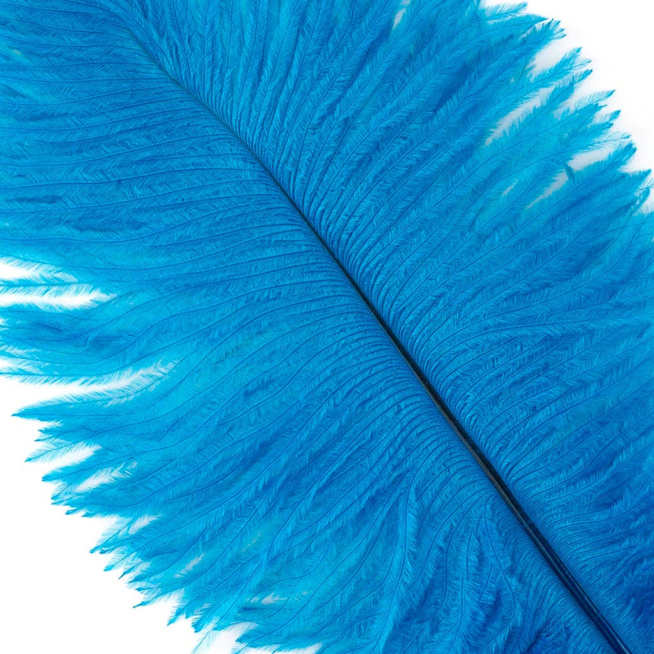 Bulk Feathers – featherplace.com by Zucker Feather Products, Inc.