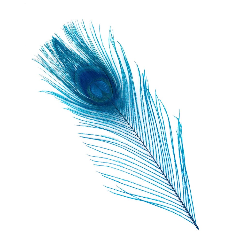 Peacock Feather Eyes Bleached & Dyed Dk Turquoise – featherplace.com by ...