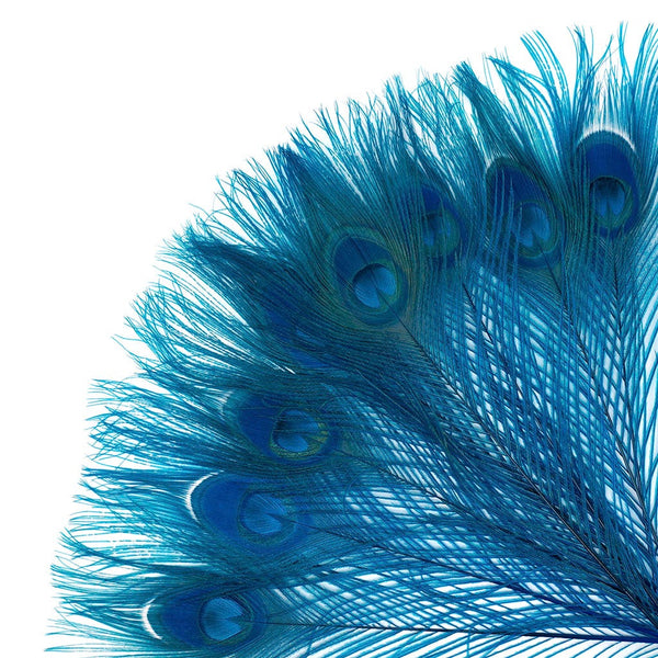 Peacock Feather Eyes Bleached & Dyed Dk Turquoise – featherplace.com by ...