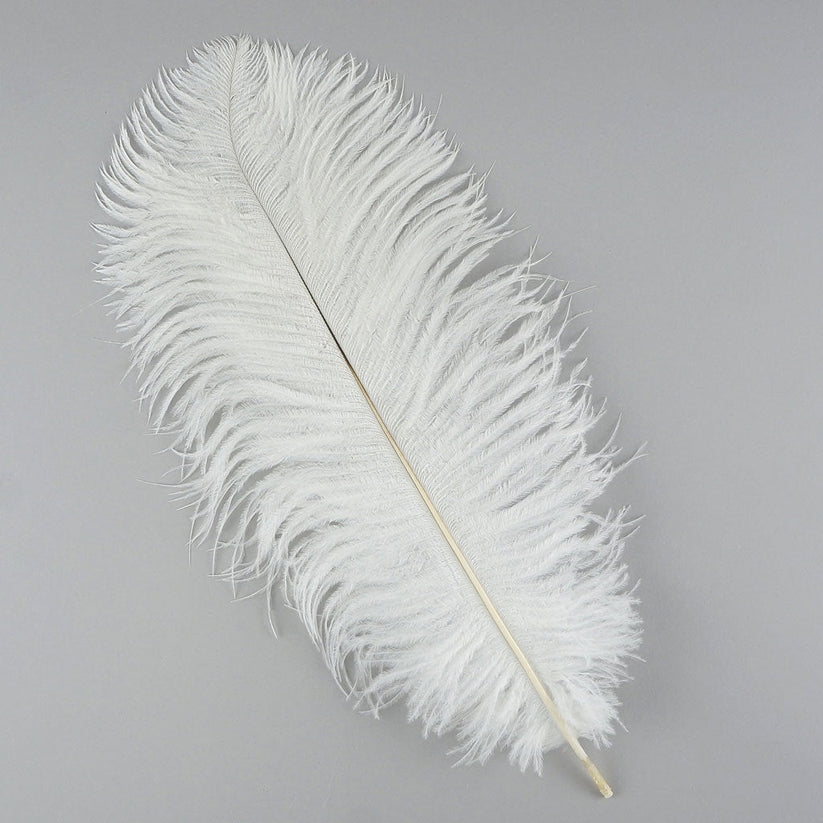 Ostrich Feathers 13-16" Drabs - White – featherplace.com by Zucker ...
