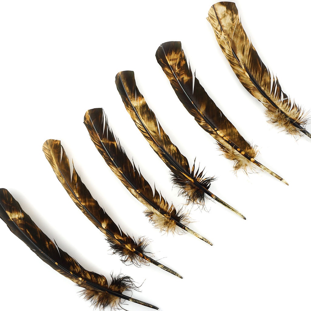 Turkey Quill Right Wing - Tie Dye - Beige & Brown – featherplace.com by ...