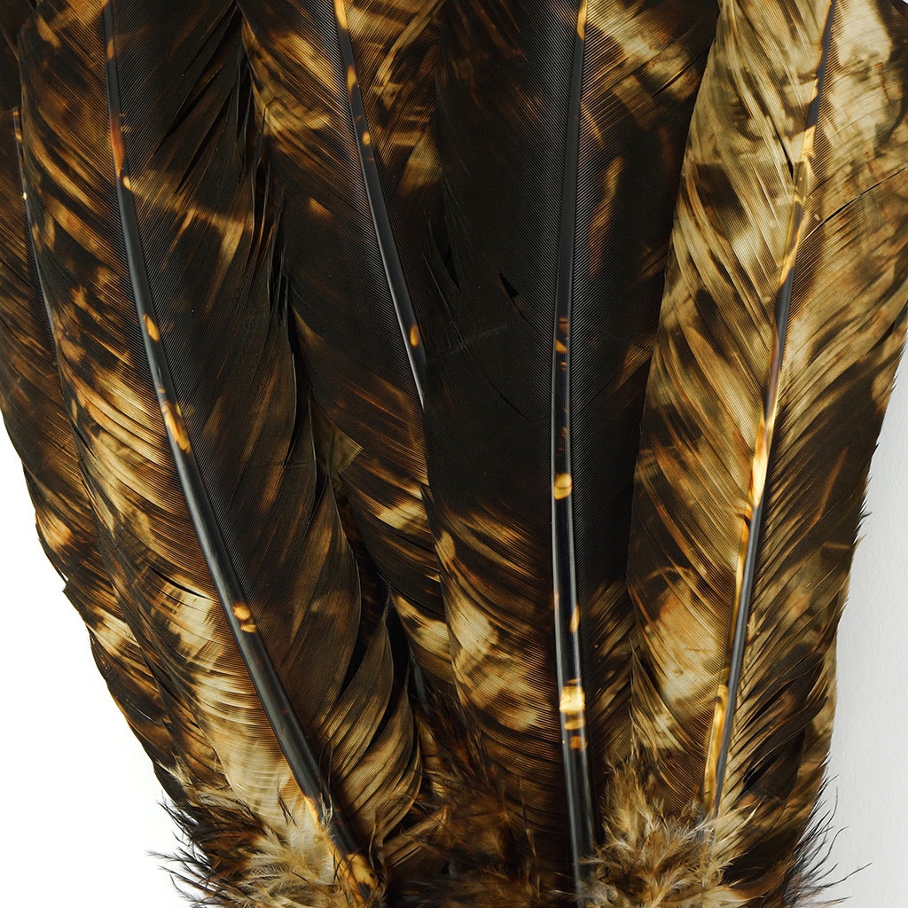 Turkey Quill Right Wing - Tie Dye - Beige & Brown – featherplace.com by ...