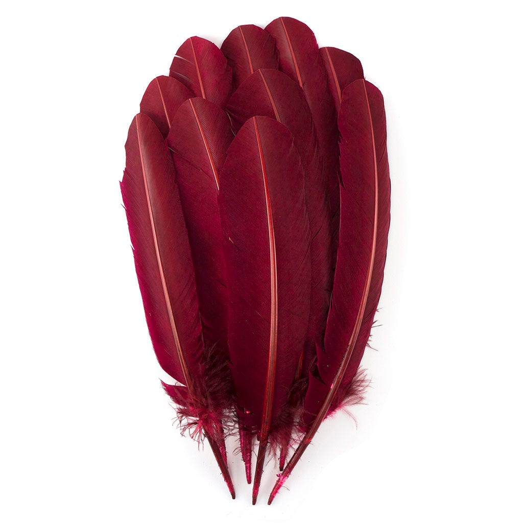 Burgundy Dyed Turkey Quill by Pound Left Wing Feather For Sale ...