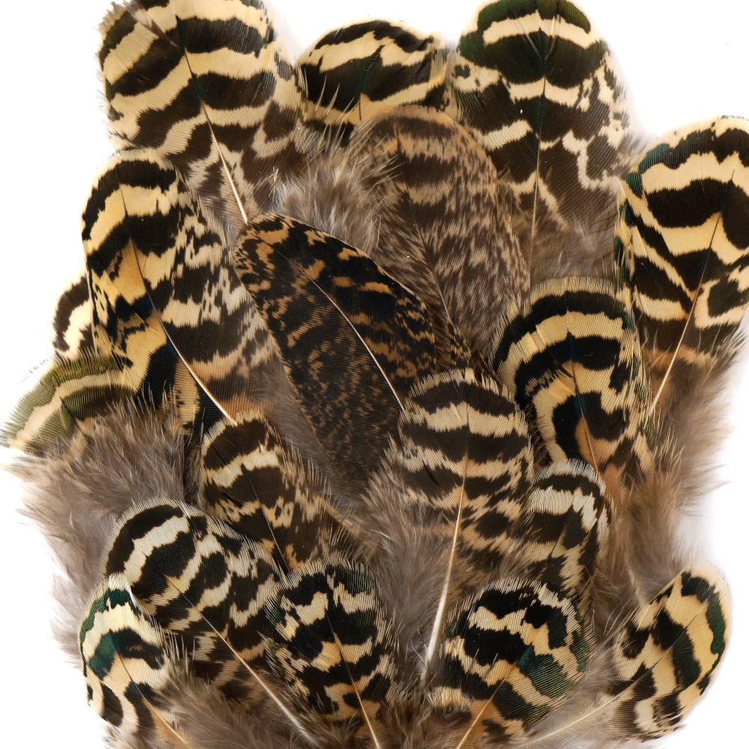 Bulk Peacock Feathers – featherplace.com by Zucker Feather Products, Inc.