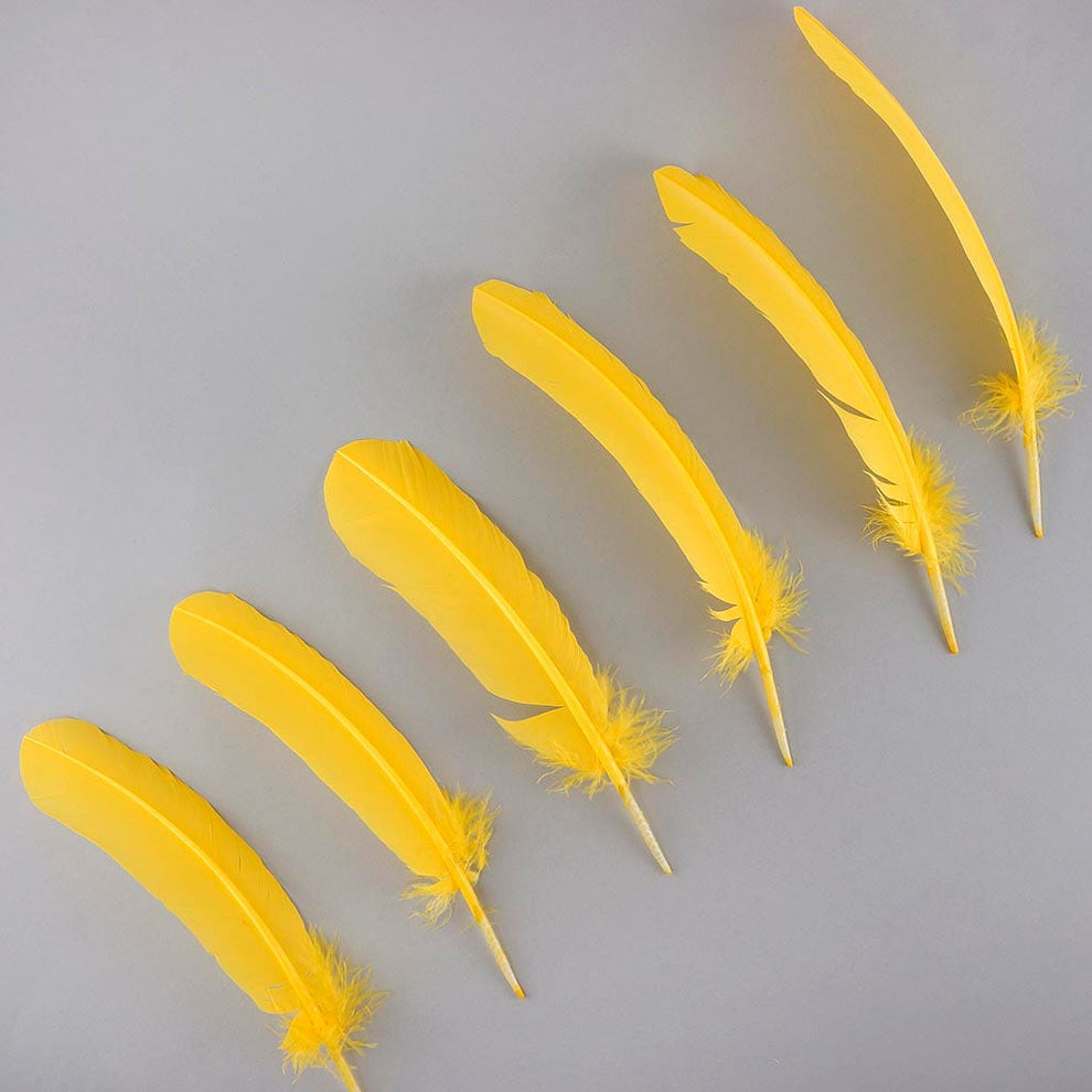 Selected Dyed Gold Quills For Sale | Buy Left Wing Feather ...