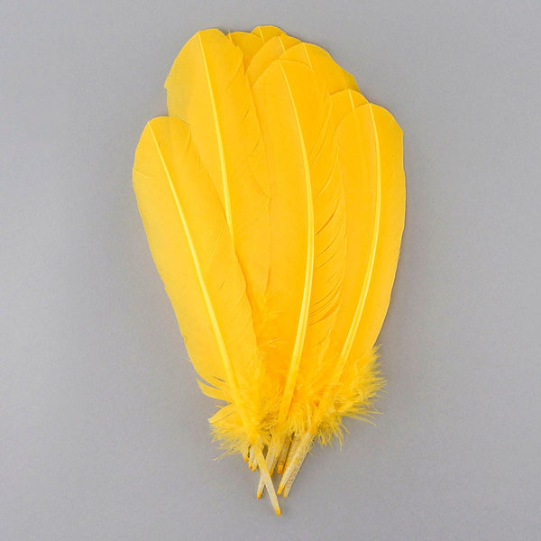 Selected Dyed Gold Quills For Sale | Buy Left Wing Feather ...