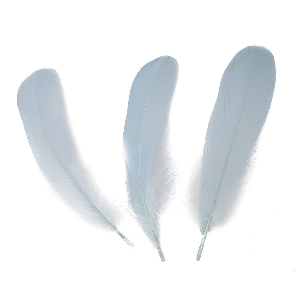 Goose Pallet Feathers 6-8" - 12 pc - Light Blue – featherplace.com by ...