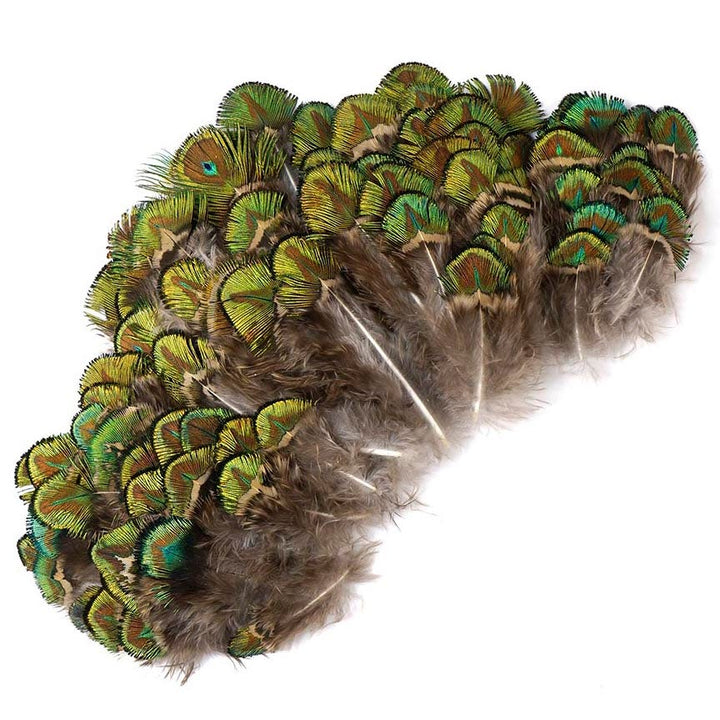 Bulk Peacock Feathers – featherplace.com by Zucker Feather Products, Inc.