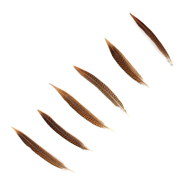 Natural Golden Pheasant Tails Feather | Buy 8-10 Inches Craft Feathers ...