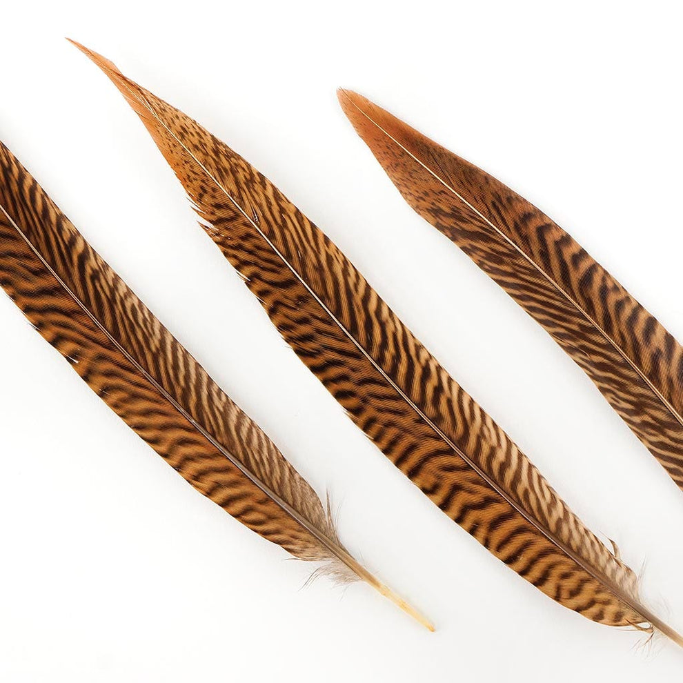 Natural Golden Pheasant Tails Feather | Buy 8-10 Inches Craft Feathers ...