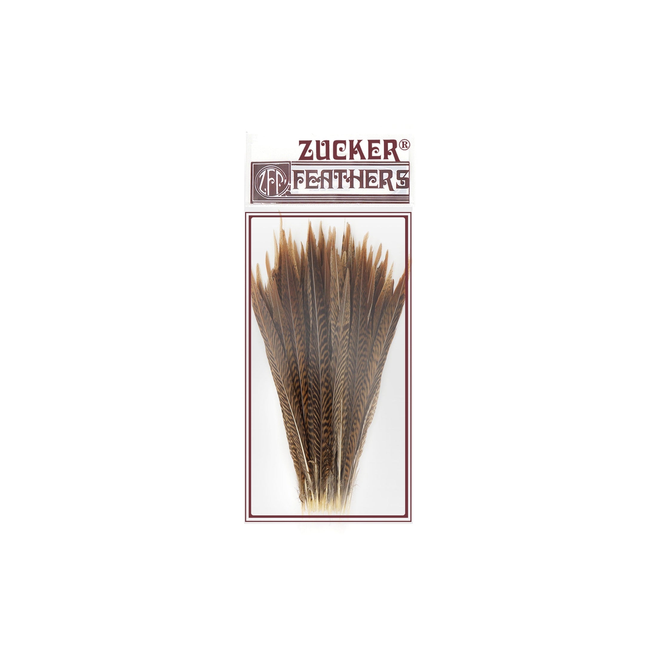 Natural Golden Pheasant Tails Feather | Buy 8-10 Inches Craft Feathers ...