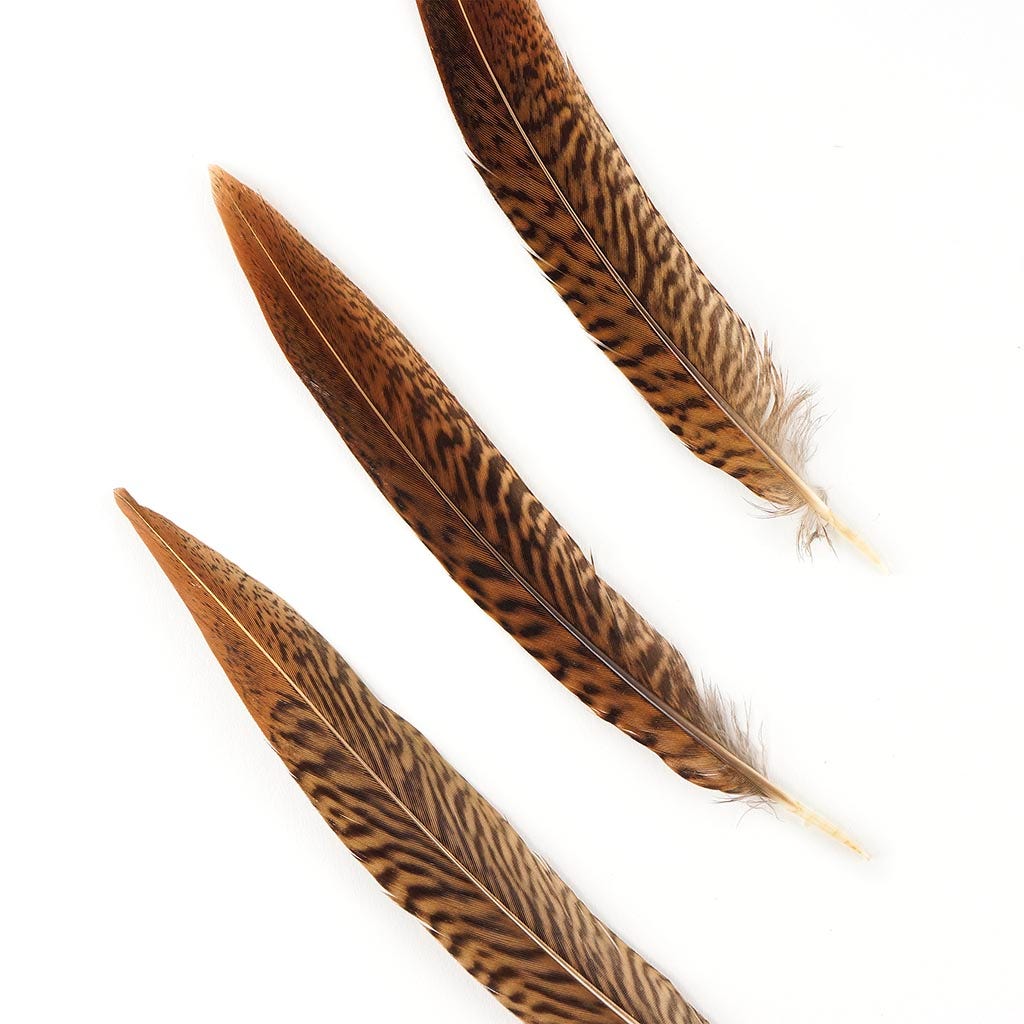 Natural Golden Pheasant Tails Feather | Buy 6-8 Inches Craft Feathers ...