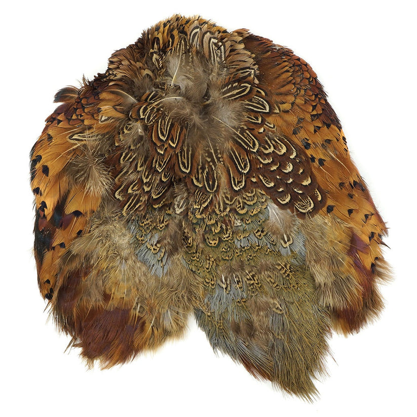 Ringneck Pheasant Pelts No Neck/Wing #2 - Natural – featherplace.com by Zucker Feather Products ...