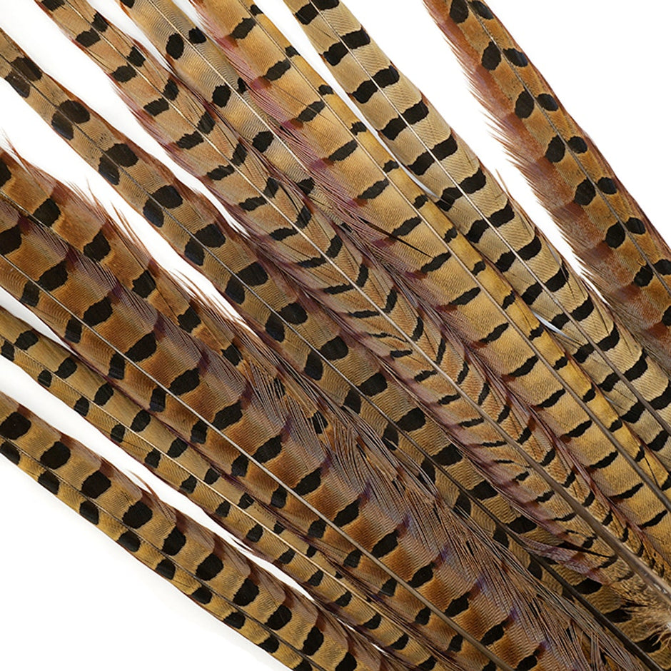 Pheasant Feathers – featherplace.com by Zucker Feather Products, Inc.