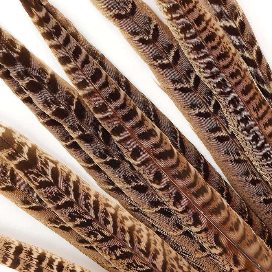 Pheasant Feathers – featherplace.com by Zucker Feather Products, Inc.