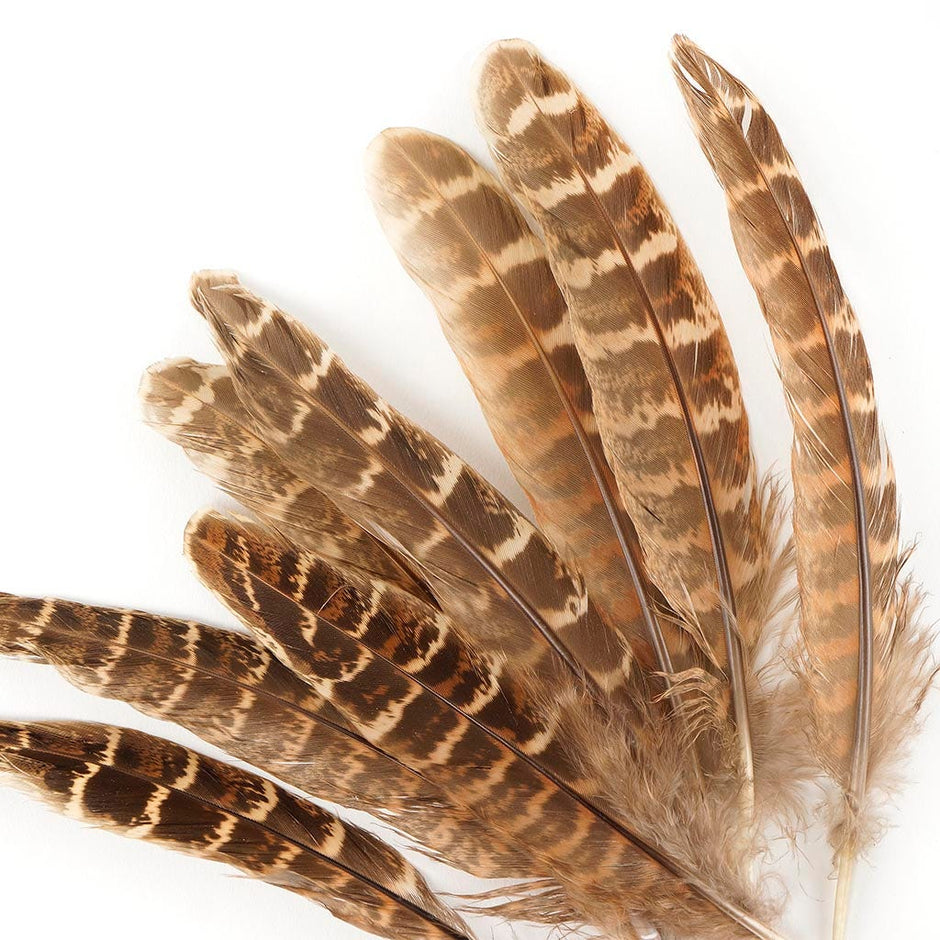 Pheasant Feathers – featherplace.com by Zucker Feather Products, Inc.