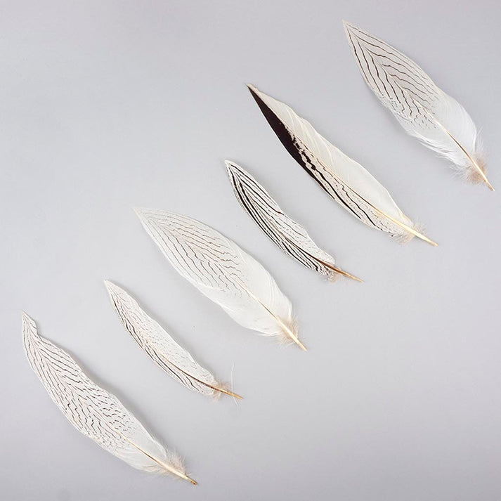 Natural Silver Pheasant Tail Feathers | 8-12 Inches Pheasant Feathers ...