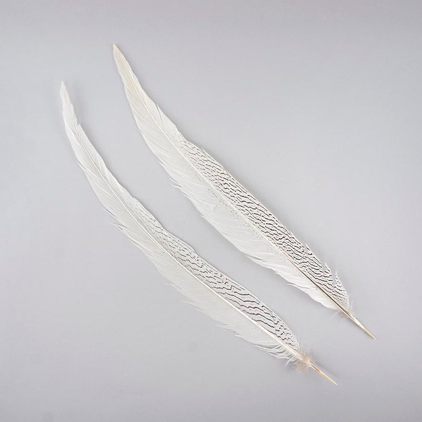 Natural Silver Pheasant Tail Feathers | 20-25 Inches Pheasant Feathers ...