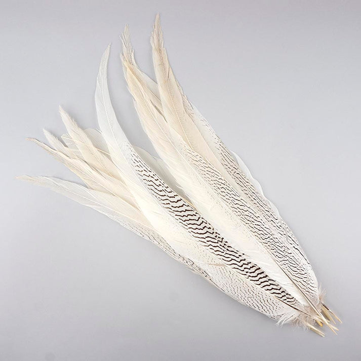 Natural Silver Pheasant Tail Feathers | 20-25 Inches Pheasant Feathers ...