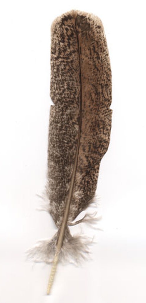 Selected Dyed Cinnamon Quills | Natural Brown Feather For Sale ...