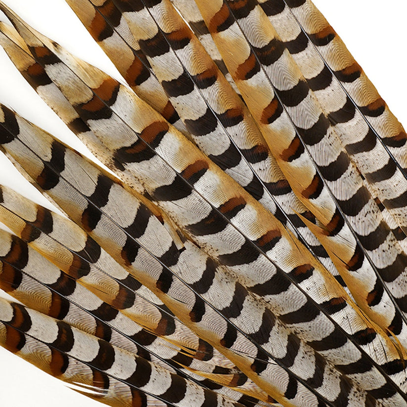Natural Dyed Venery Pheasant Tail Feathers | 16-20 Inches Tails ...