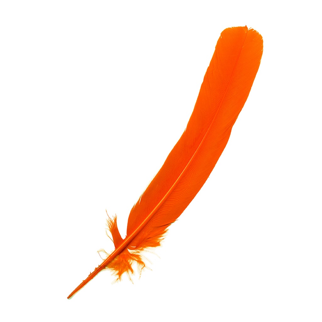 Parried Turkey Quills Selected - Orange | Dyed Turkey Feather ...