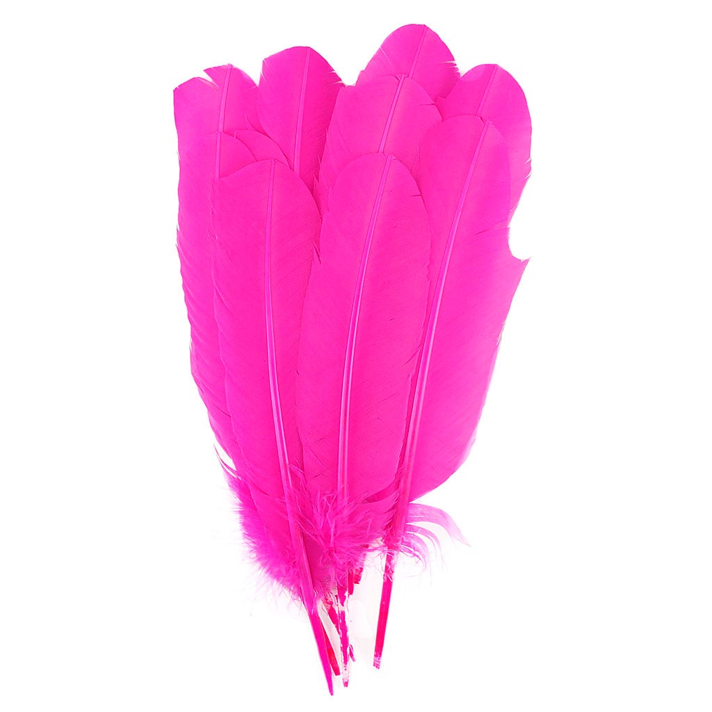Selected Shocking Pink Turkey Quills | Right Wing Feather ...