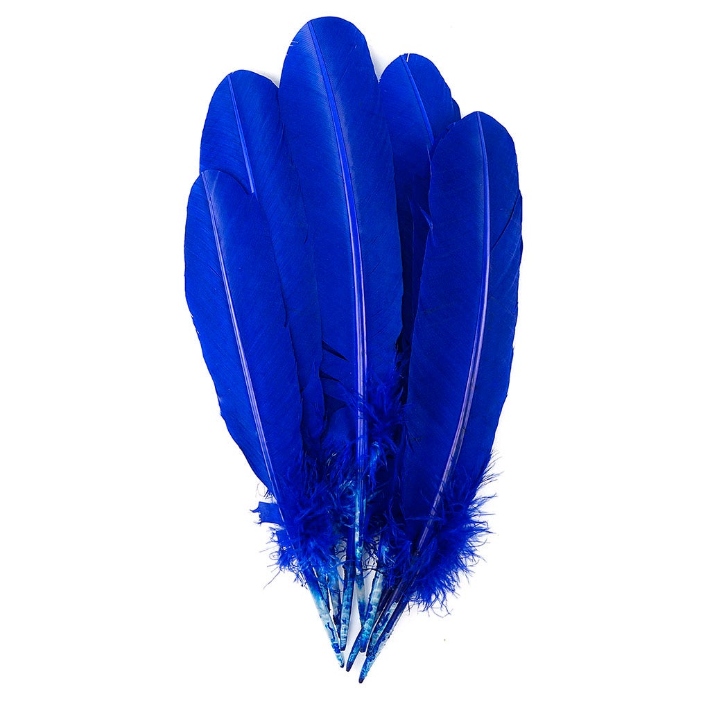 Selected Dyed Royel Blue Quills For Sale | Buy Left Wing Feather ...