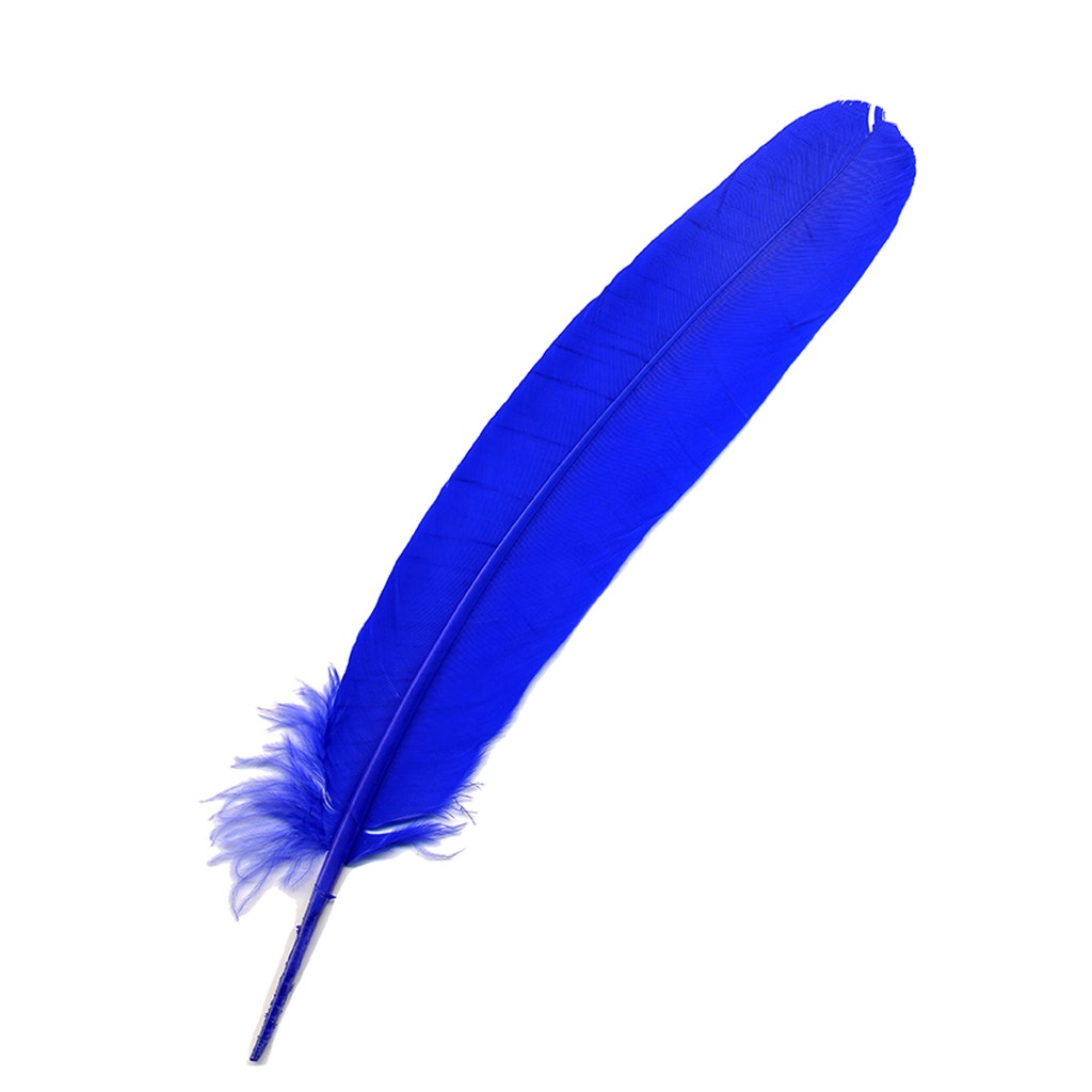 Parried Turkey Quills Selected - Royal Blue | Dyed Turkey Feather ...