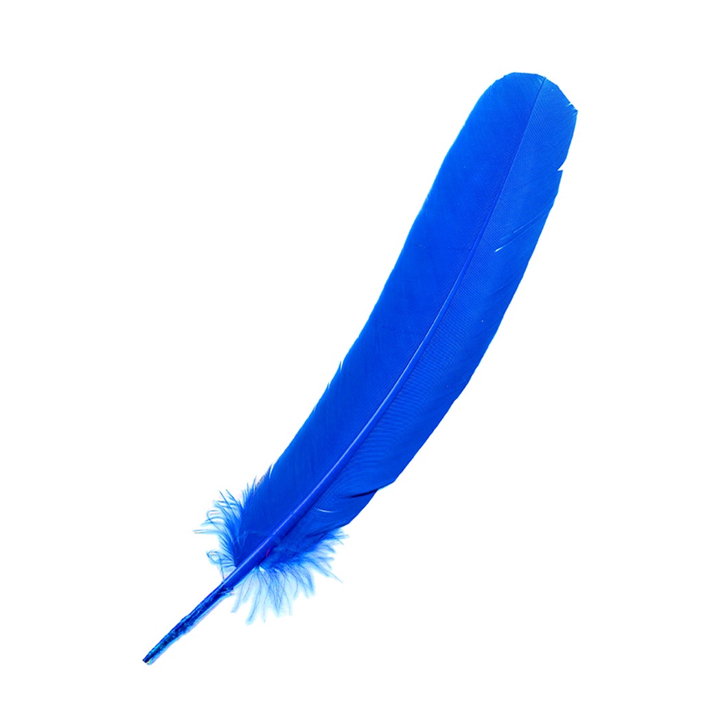 Parried Turkey Quills Selected - Dark Turquoise | Dyed Turkey Feather ...