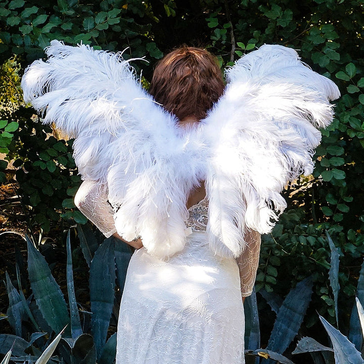 Angel Wings – featherplace.com by Zucker Feather Products, Inc.